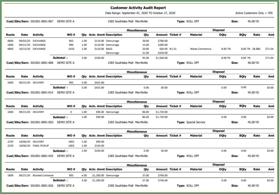 Customer Activity Audit